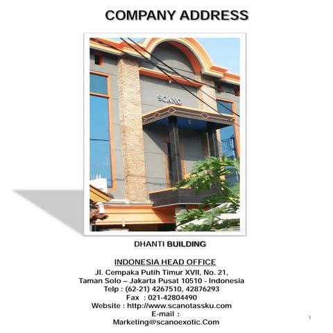 Company Profile Scano (English) | PDF