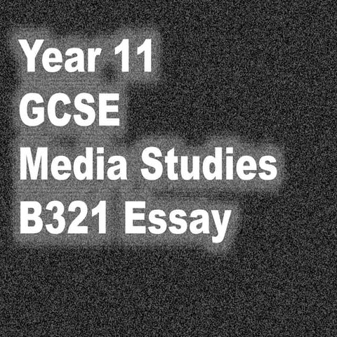 B321 essay advice | PPT