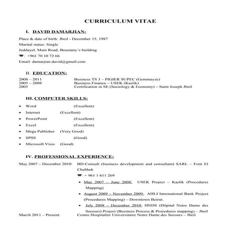 CV David Damarjian | DOC