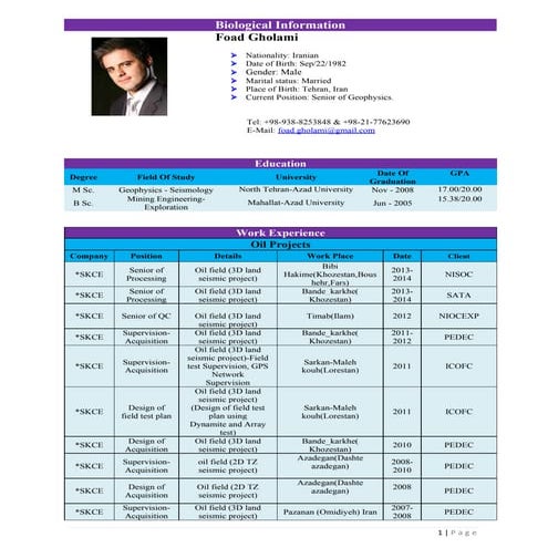 Saeed Hadiloo CV | PDF