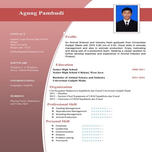 Cv Agung Pambudi | PDF
