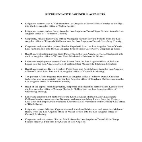 Representative Partner Placements | PDF