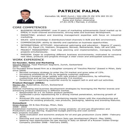 CV Patrick Palma | PDF