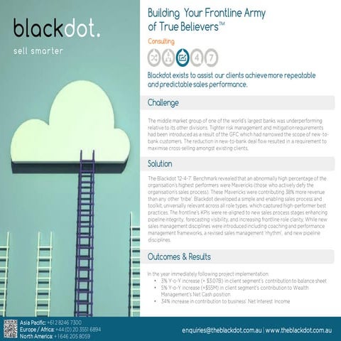 Blackdot Case Study - Transforming the Sales Model | PDF
