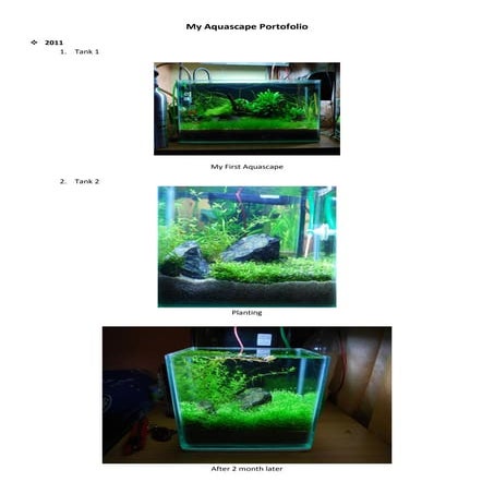 My Aquascape Portofolio | PDF