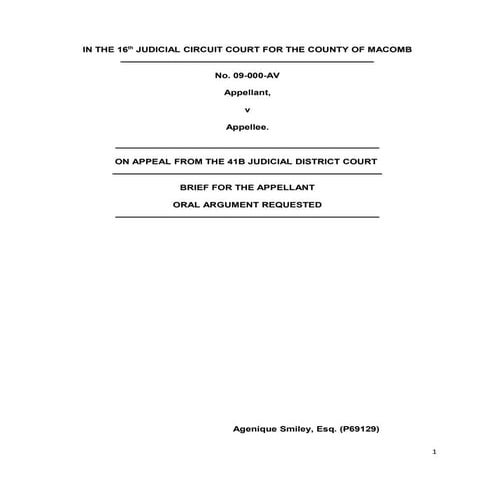 Smiley Writing Sample Appeal Brief (2) | DOC