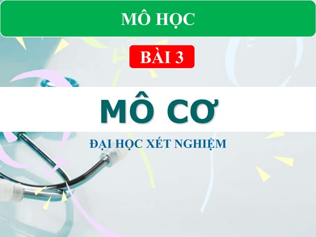 Mô cơ | PDF