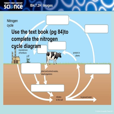 B4 07-nitrates and active transport | PPT