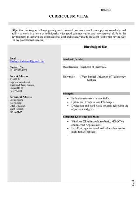 Curriculum Vitae | PDF