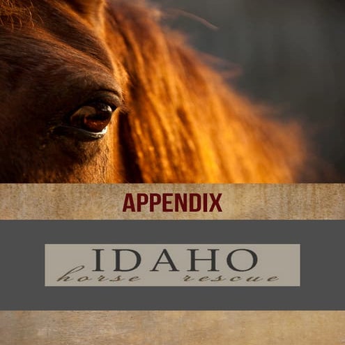 horse appendix the real one | PDF