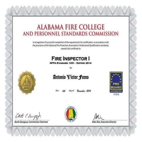 Fire Inspector 1 | PDF