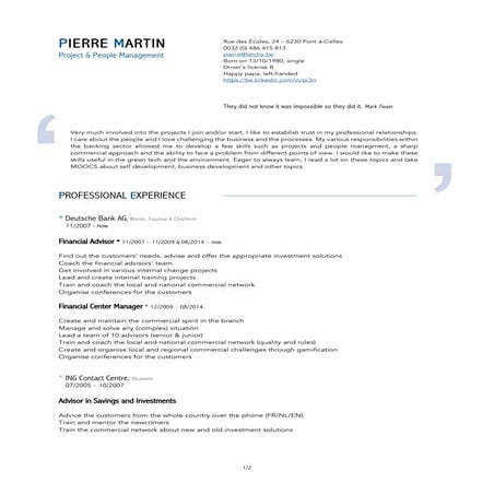 CV Pierre MARTIN EN | PDF