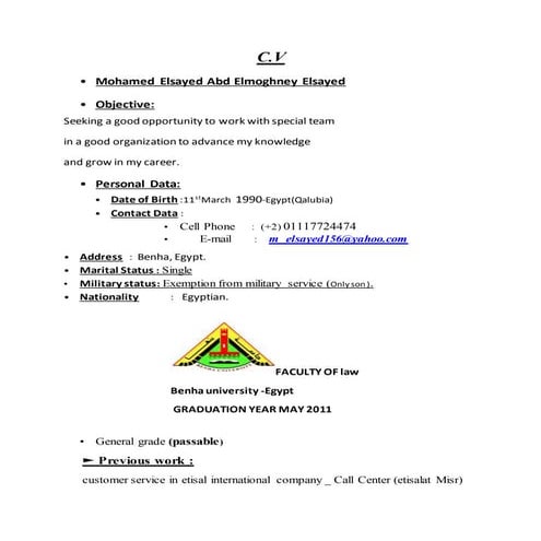 Mohamed Abdel_Moghny Cv | DOCX