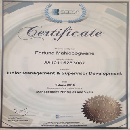 Junior Management | PDF