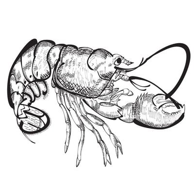 Lobster | PDF
