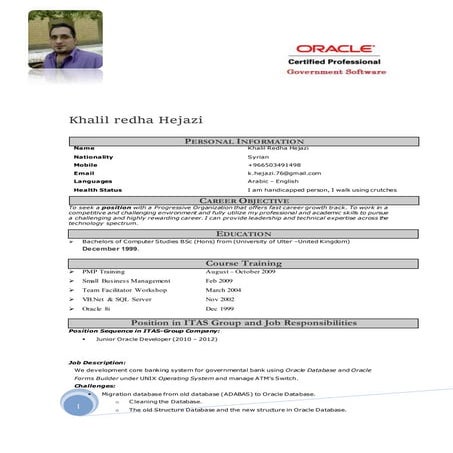 Alok Resume | DOC