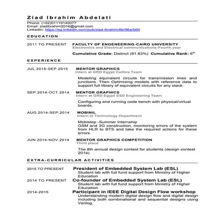 Cv ayoub english version | PDF