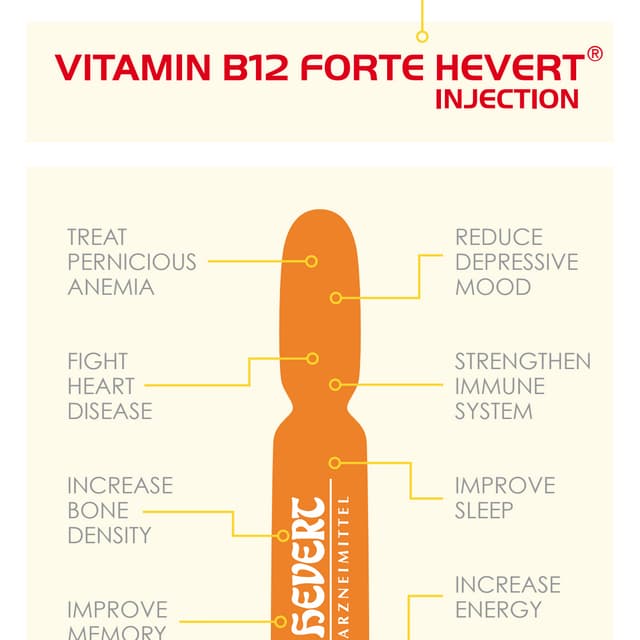 EMiller Flyer B12 6 | PDF | Blood Disorders | Diseases and Conditions