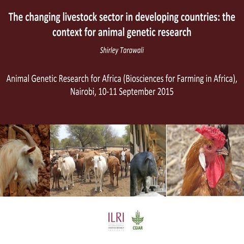 The changing livestock sector in developing countries: The context for ...