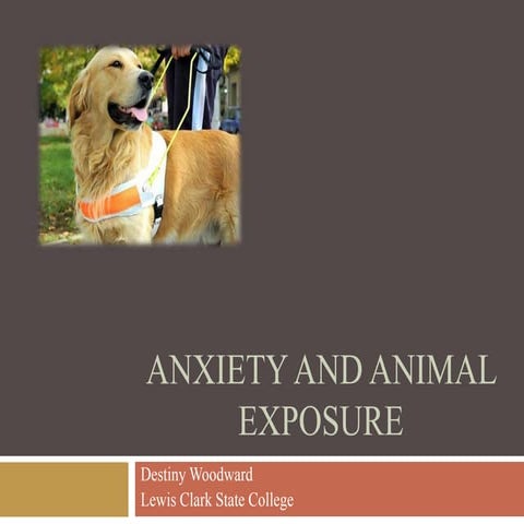 Animal Assisted Therapy | PPT