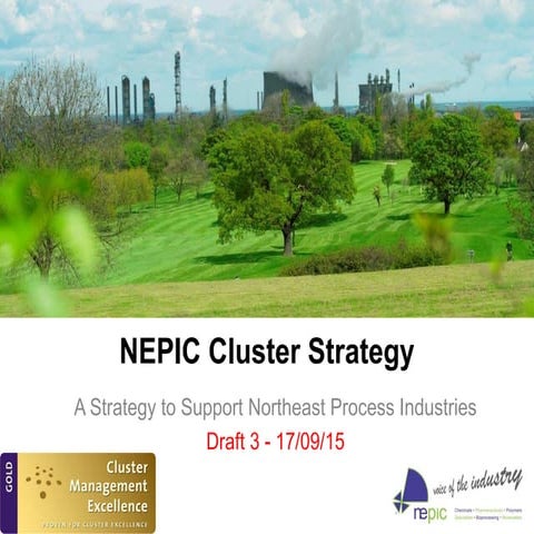 NEPIC Cluster Strategy 2015 onwards 201015 | PPT