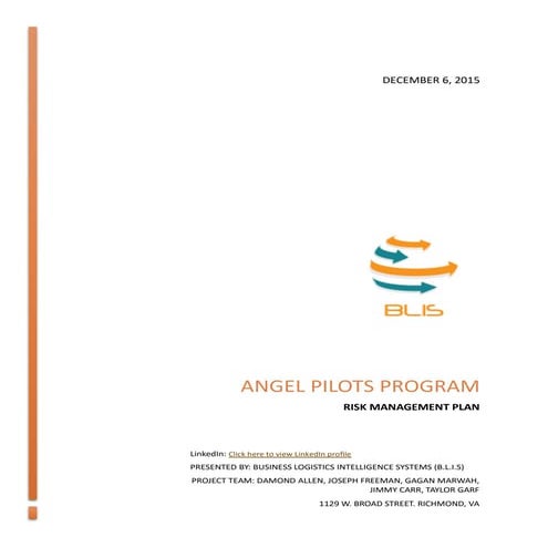 Angel Pilots Program_FInal Assignment | PDF