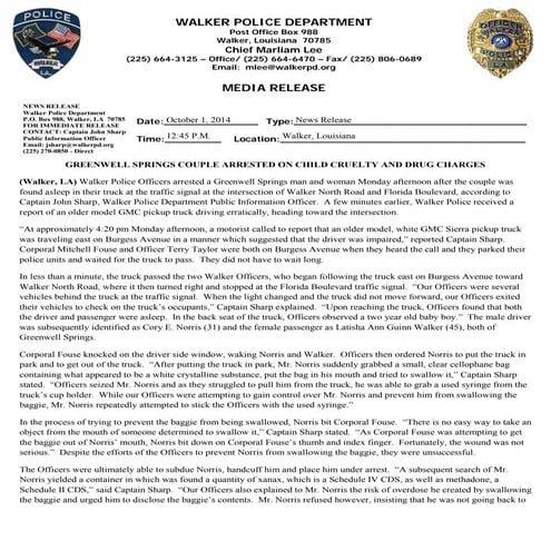 Sample Writing.Press Release | PDF