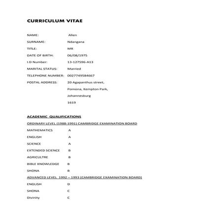 ALLEN NDANGANA CV (2) | PDF
