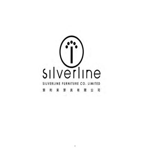 Silverline presentation 4.6 | PDF