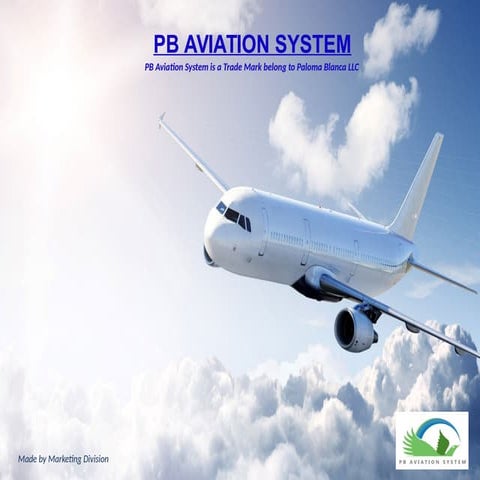 PB_Aviation_System_Company_Profile | PDF