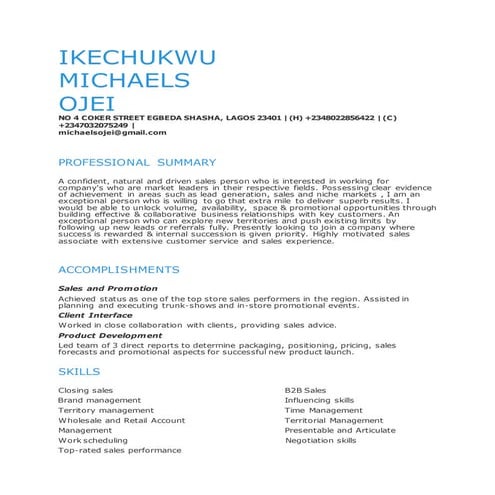 Resume Danny Lajer | PDF