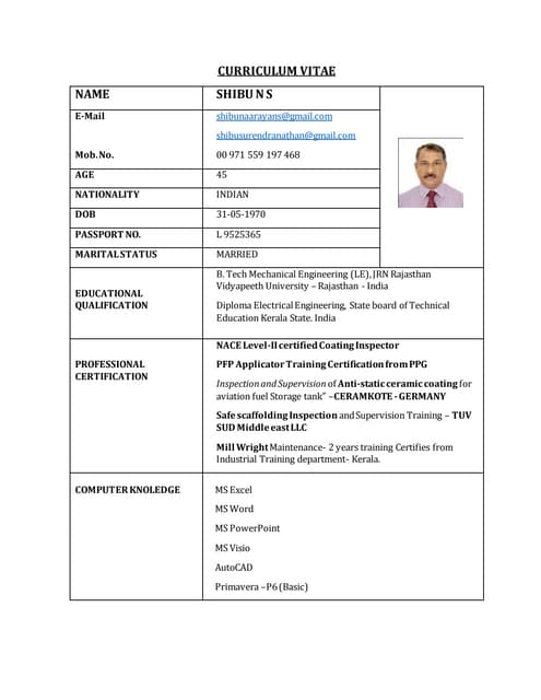 cv Mazhar thaheem | PDF