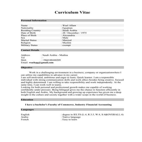 English CV wael | DOC