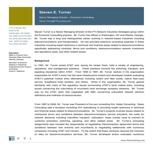 Steven Turner CV (Full) - 20160906 | PDF