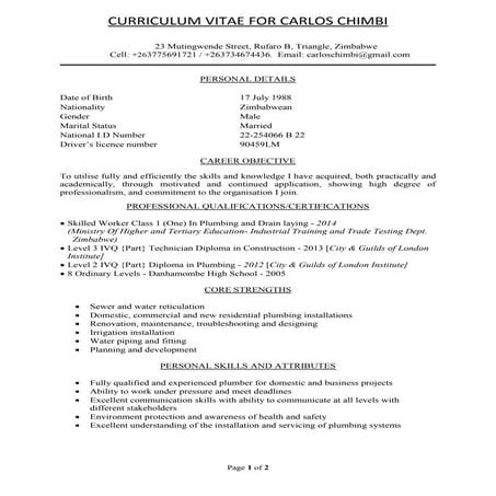CV FOR CARLOS CHIMBI | PDF