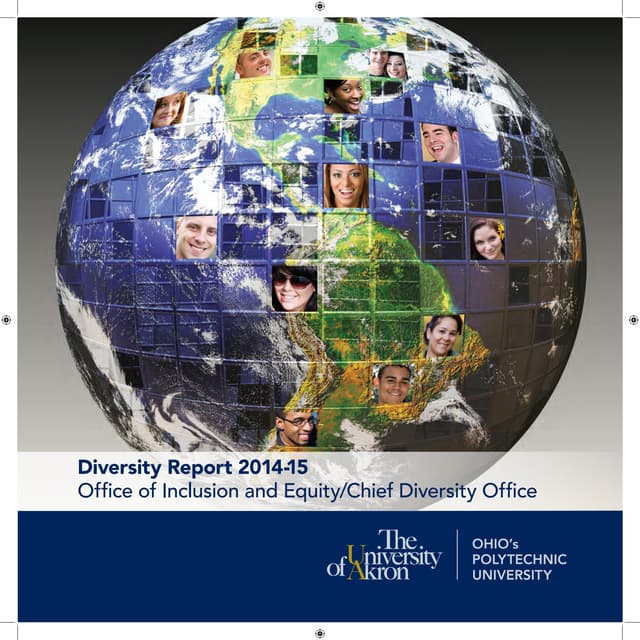 Diversity Report_final | PDF