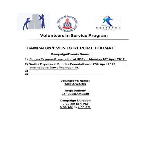 VIS REPORT | DOCX