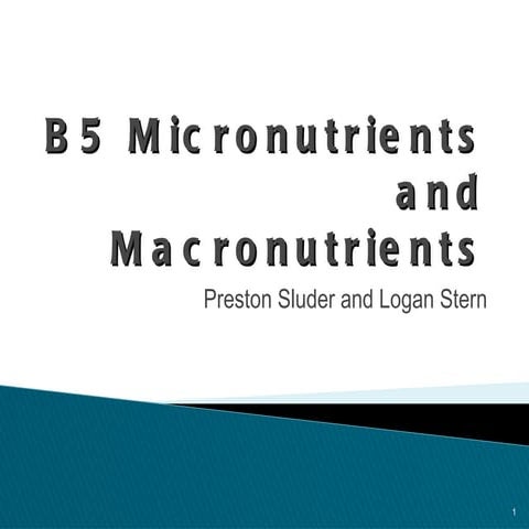 B5 presentation | PPT
