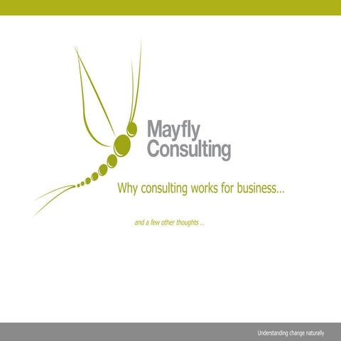 Mayfly credentials Feb16 | PDF