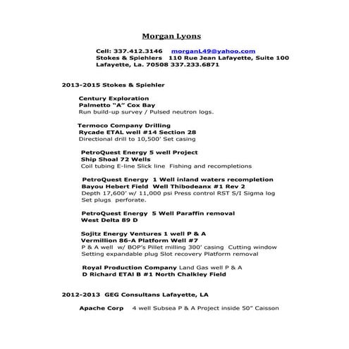 M. Lyons Resume to Present 6-4-2015 | DOC