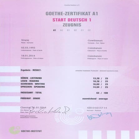 Goethe Institut Level A1 _ Participation_Test Score | PDF