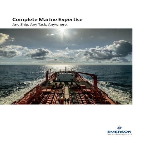 Emerson MTM Brochure | PDF