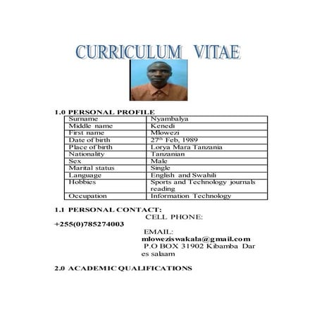 CV2 | DOCX | IT and Internet Support | Internet