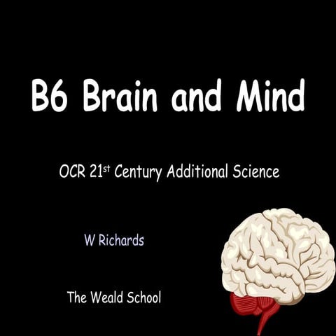 B6 Brain And Mind | PPT