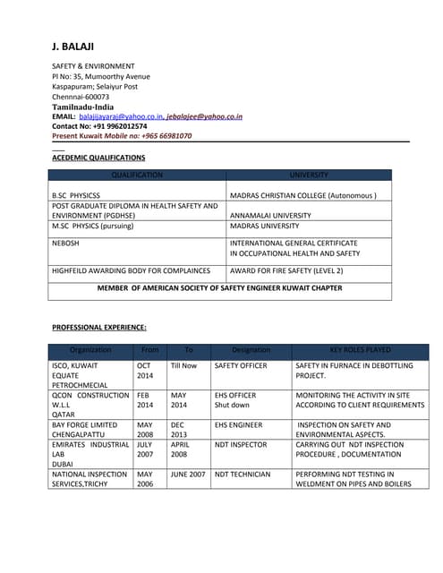 curriculum vitae 1.1nw