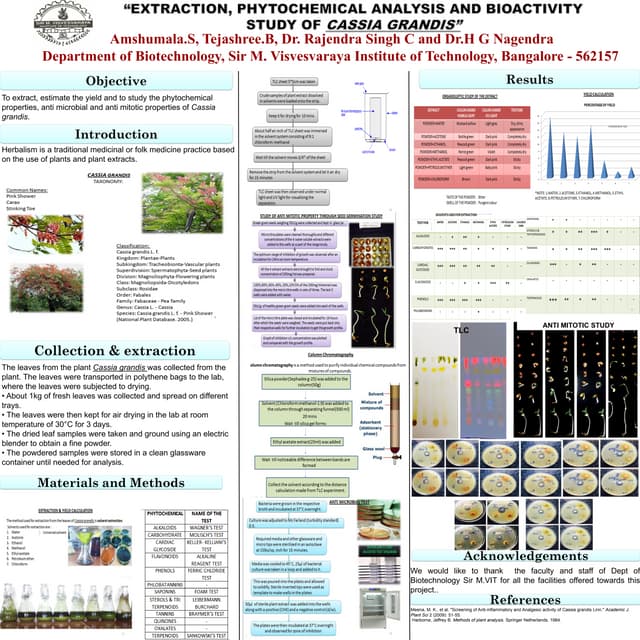 VIT poster | PDF