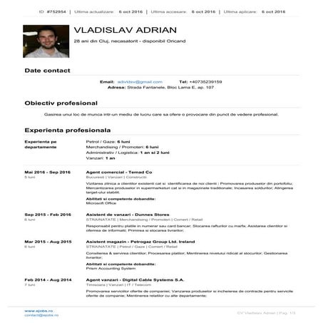 CV Alina Budean | PDF