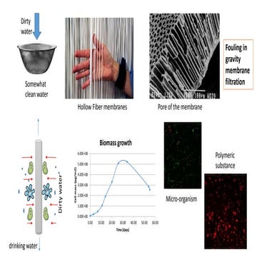 3mt presentationsd | PPT