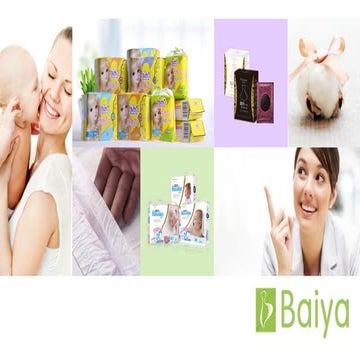 Baiya introduction | PDF | Manufacturing Industry | Industries