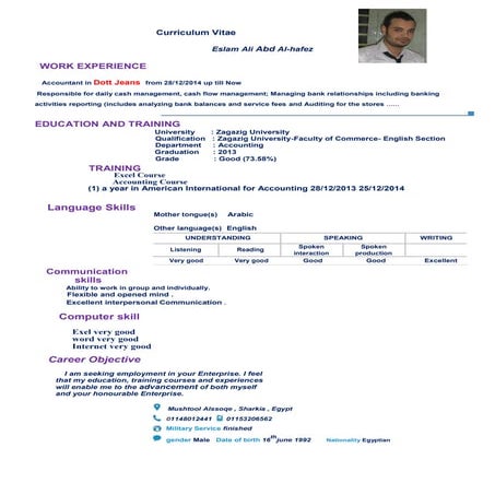 ESLAM ALI CV 2017 | PDF